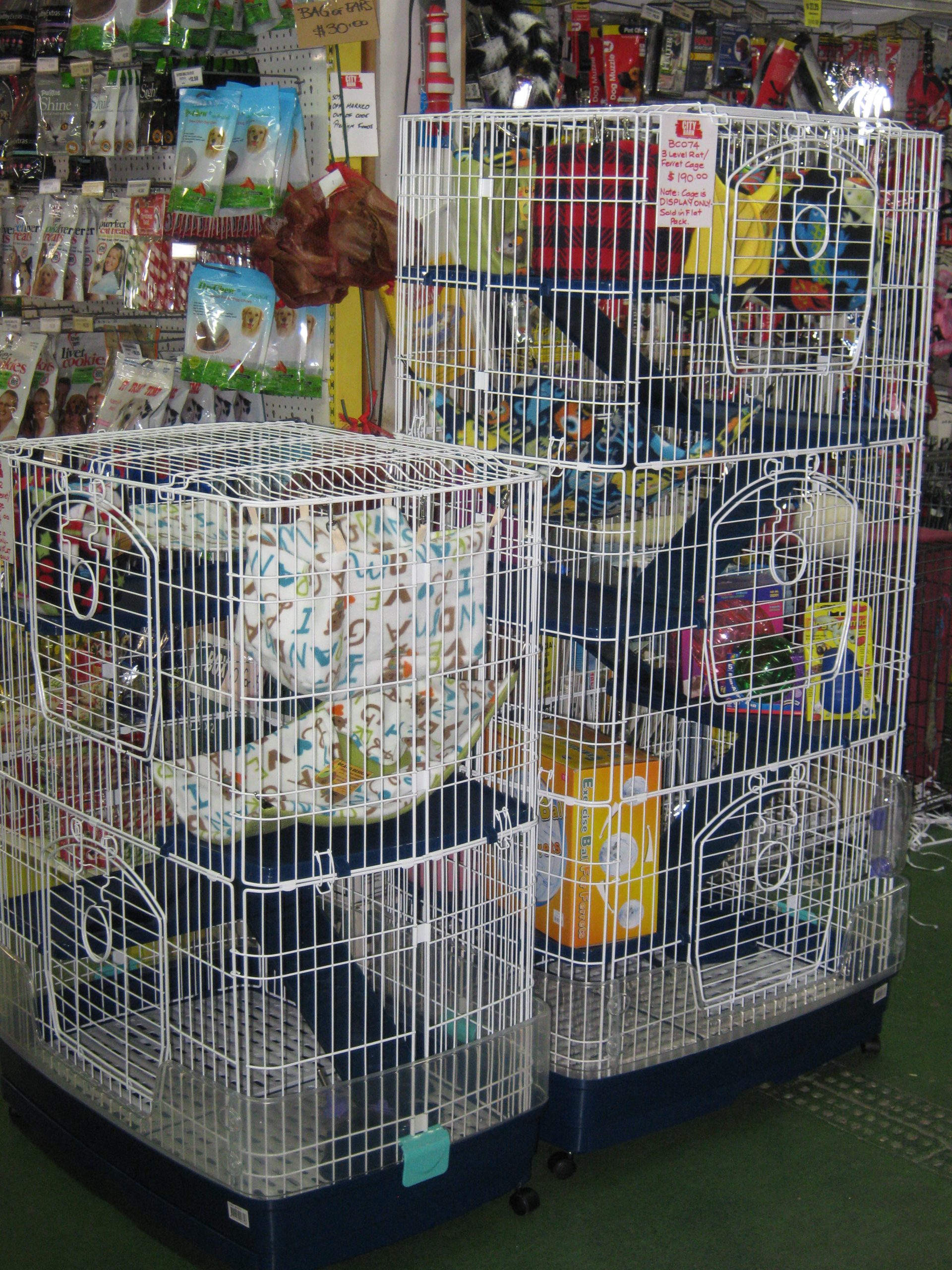 About Deano - Deano Designs Perth